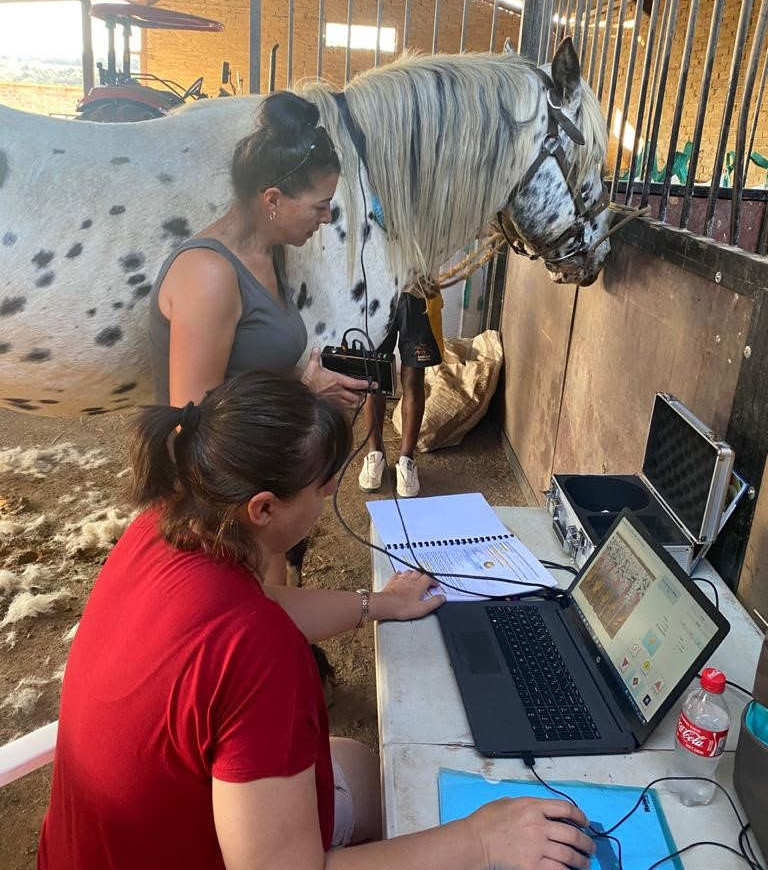 Animal Pathogen Scanner - Art of Health