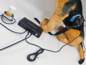 Package 8 - Art of Health