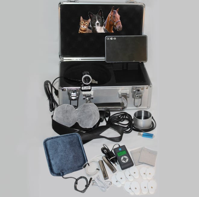 Package 8 - Art of Health