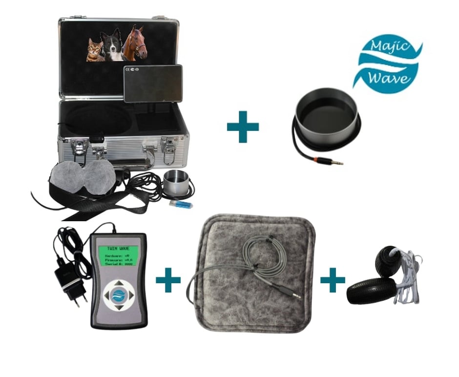 Package 8 - Art of Health