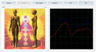 Professional Holistic Body Analyser - Art of Health