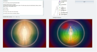 Professional Holistic Body Analyser - Art of Health